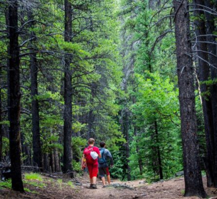 Troop and Crew 537 | Lakewood, CO