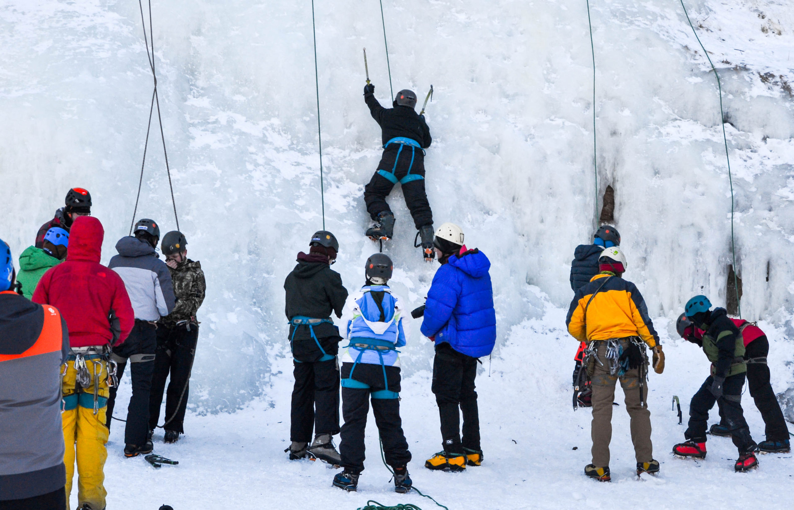 Photos | Troop and Crew 537 | Lakewood, CO