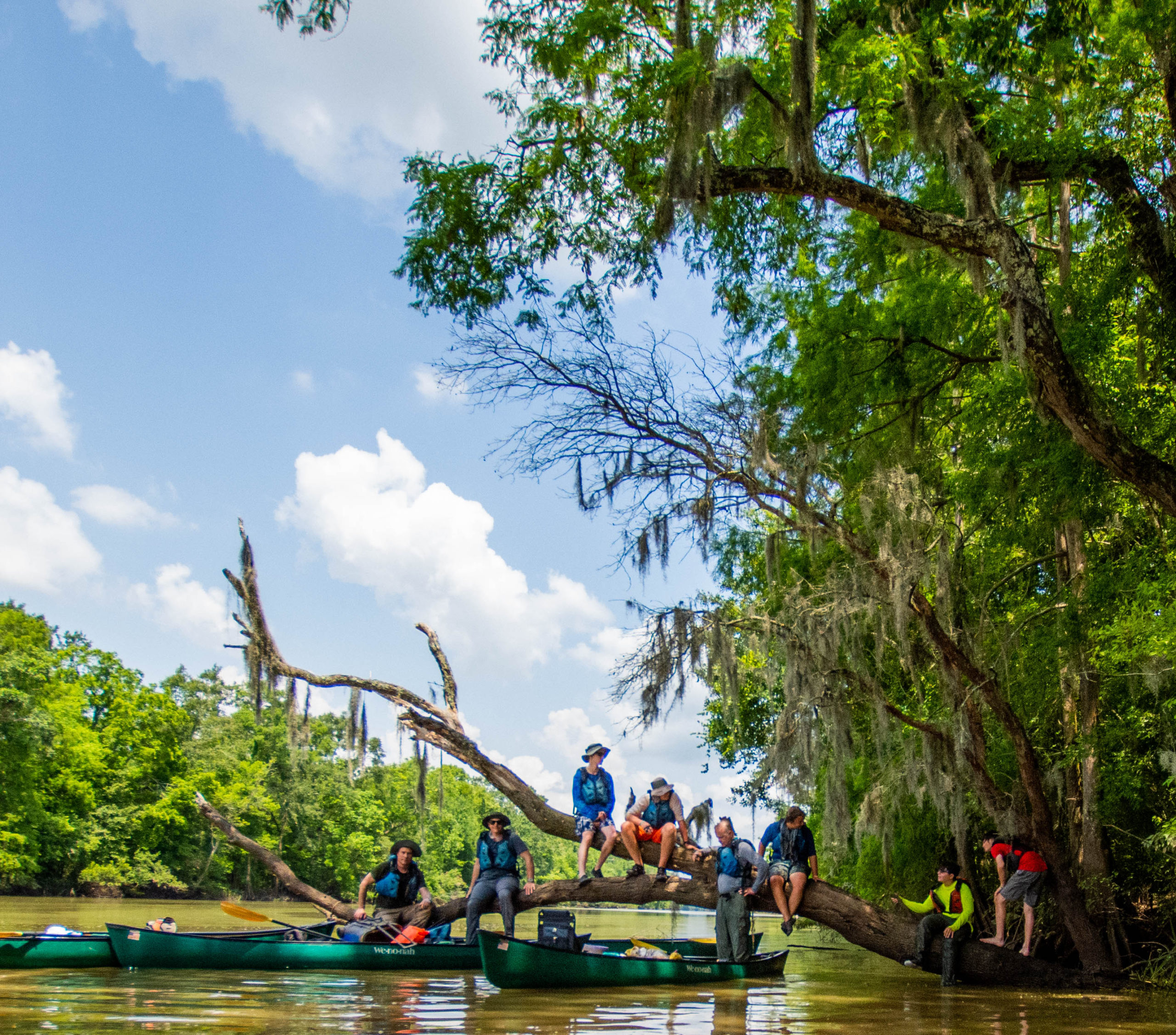 Photos | Troop and Crew 537 | Lakewood, CO