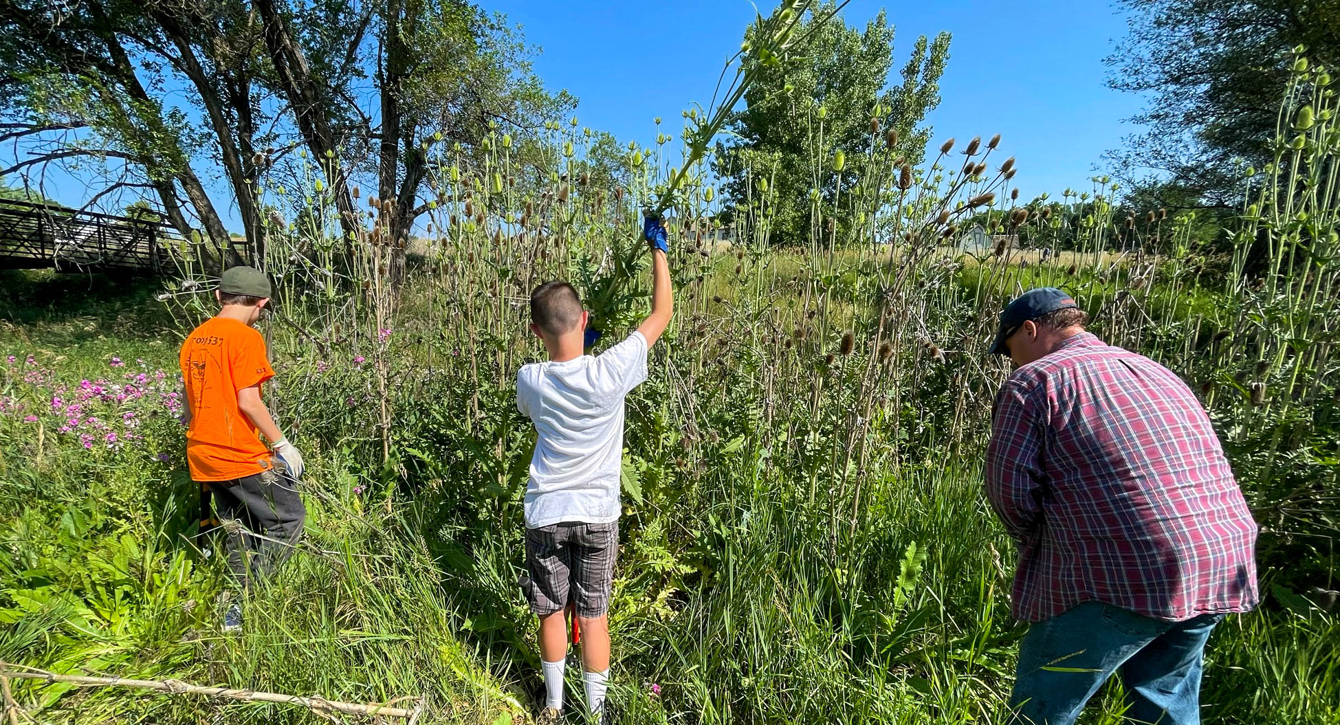 Heritage Lakewood Conservation Project | Troop and Crew 537 | Lakewood, CO