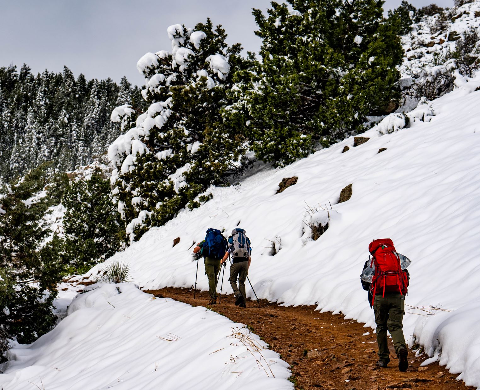 Recent Events | Troop 537 | Lakewood, CO